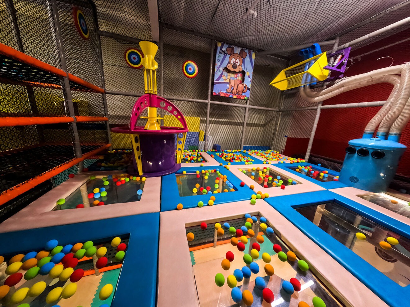 Journey With CCTV Host Conrad Angel Corral to Zebra World Indoor Kids ...